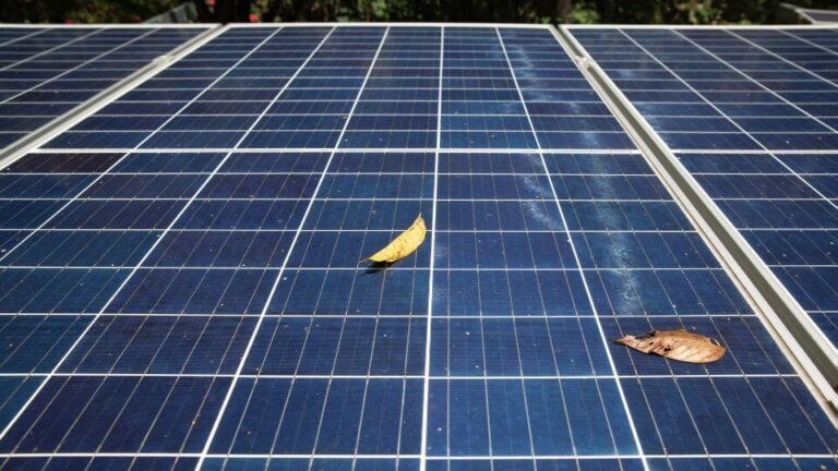 Limpeza de placas solares: Tudo o que você precisa saber